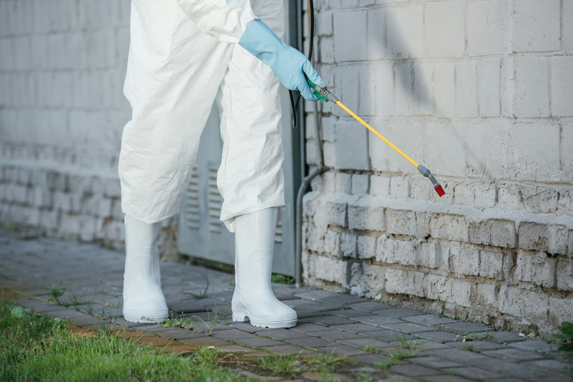 Home - Turner's Pest Control